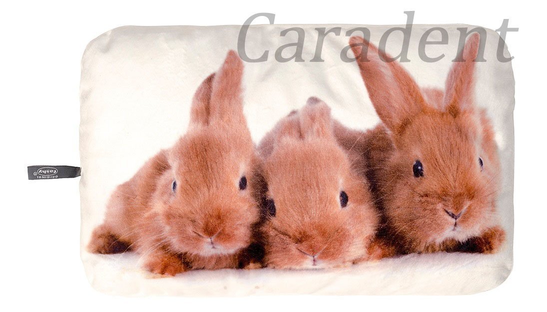 產品專區 | 卡樂登 Caradent Oral Care